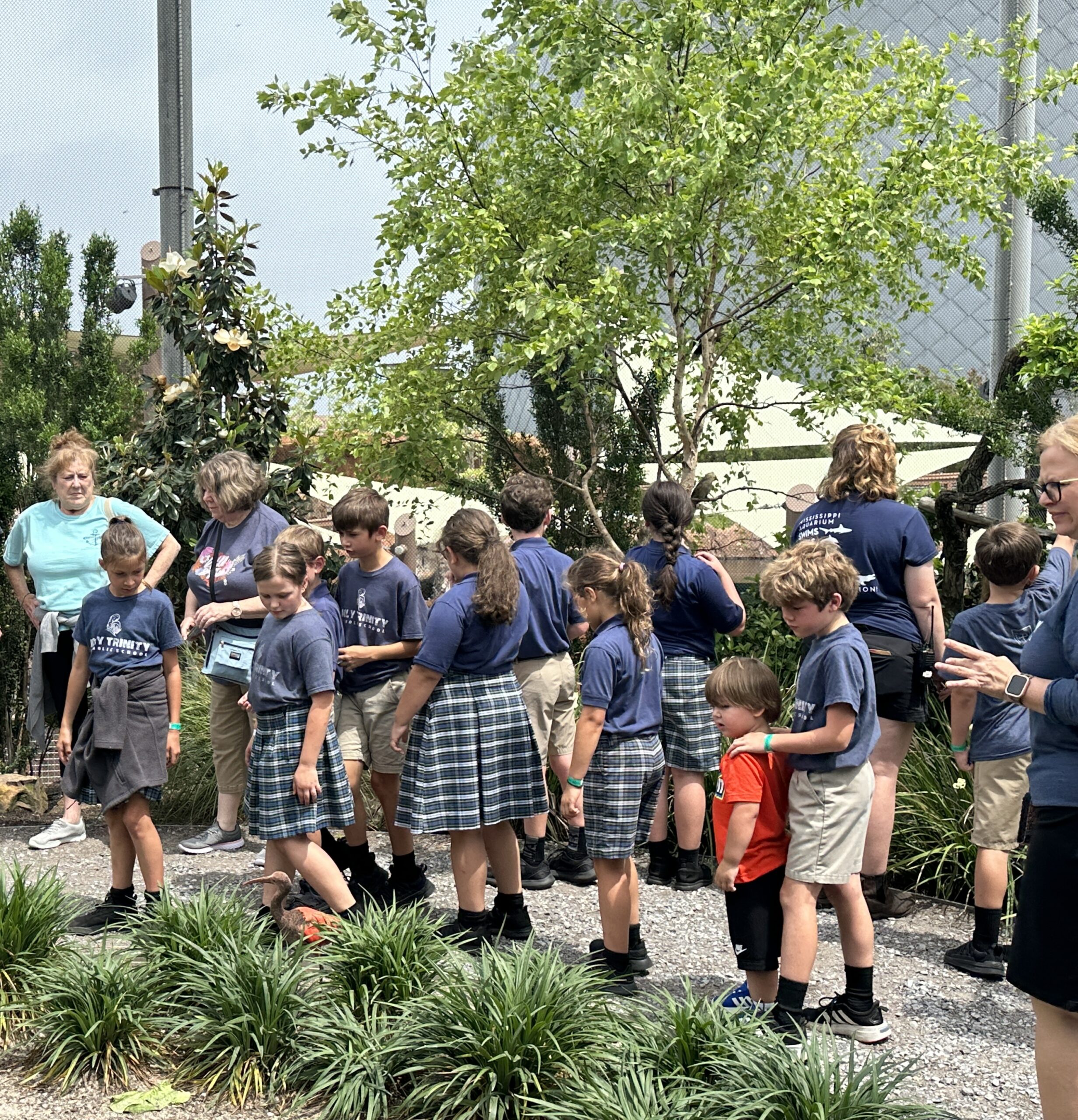 3rd Grade Gallery - Holy Trinity Catholic School